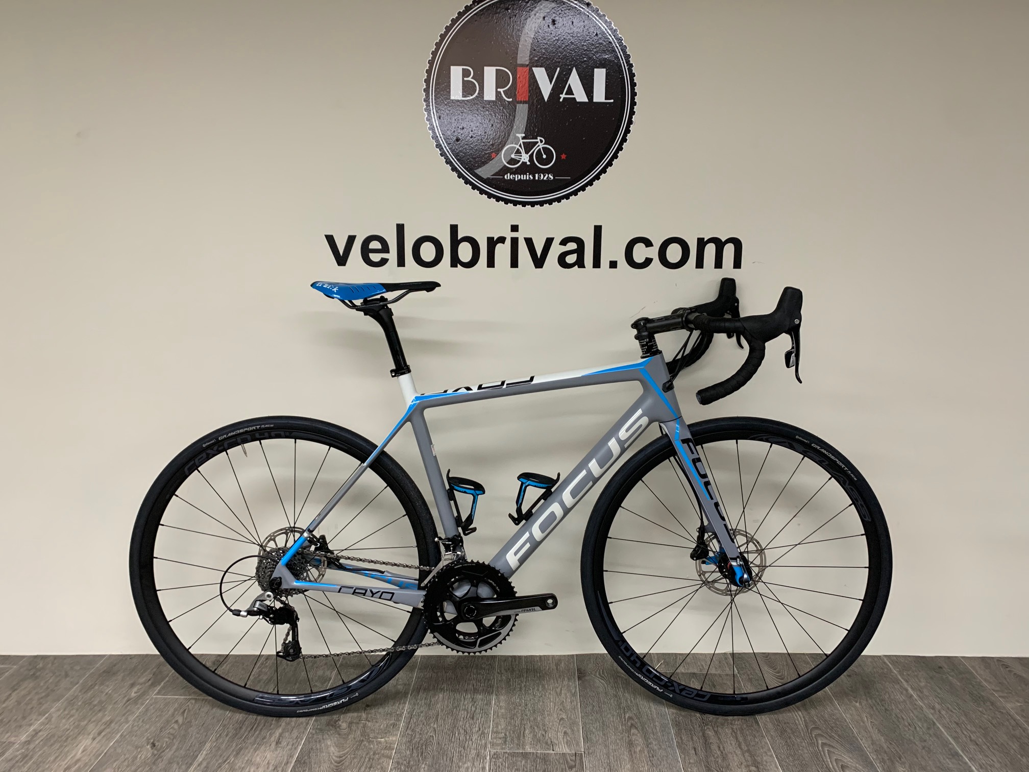 Focus Cayo Disc Rival 2016 - VeloBrival