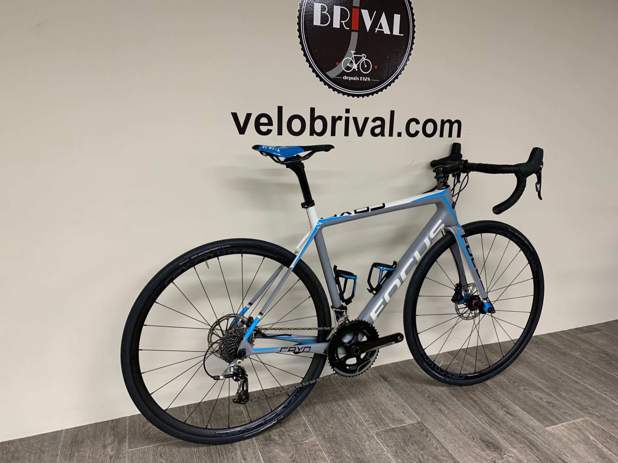 Focus Cayo Disc Rival 2016 - VeloBrival