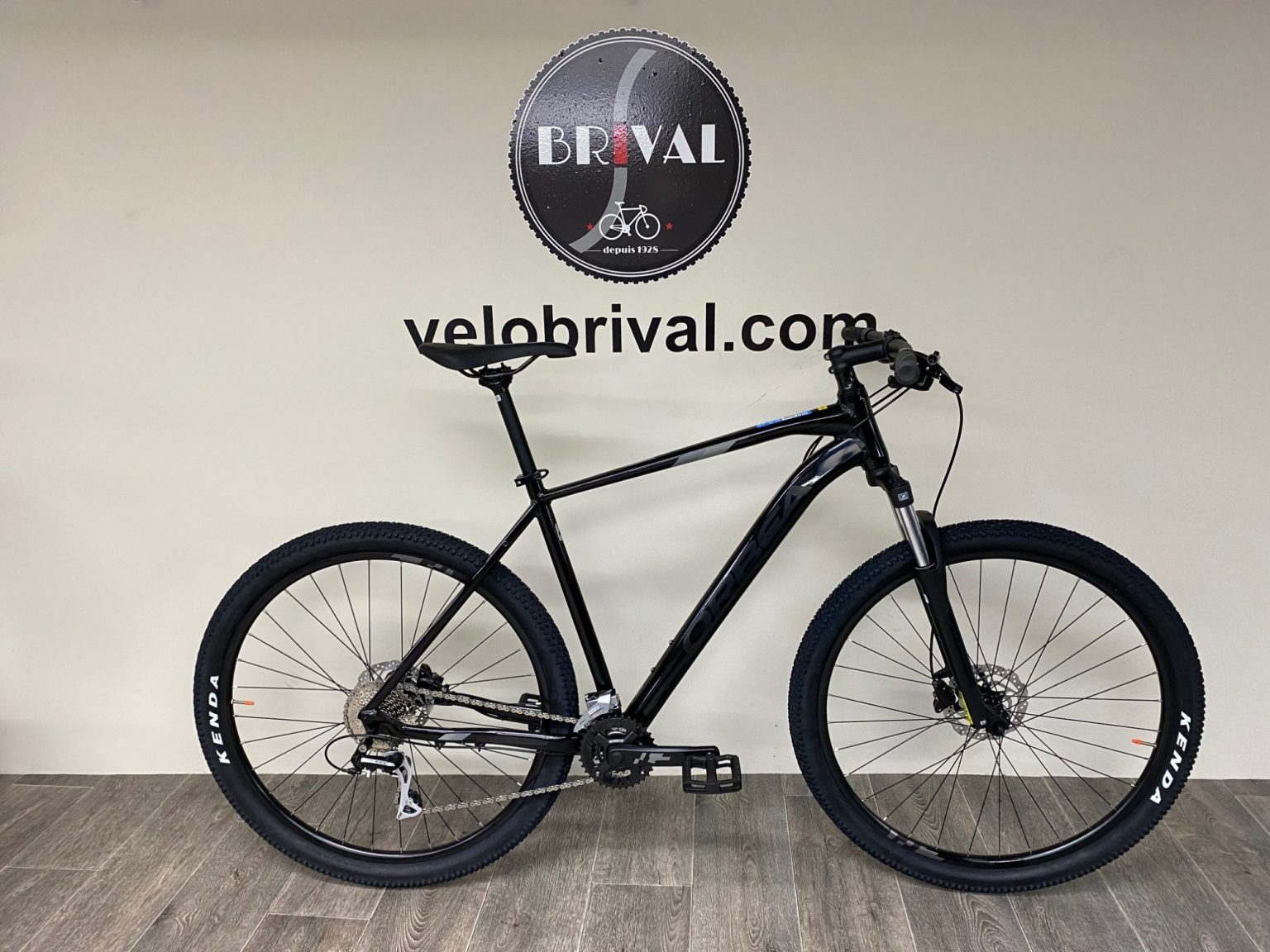 Orbea MX 50 29 2021 - VeloBrival